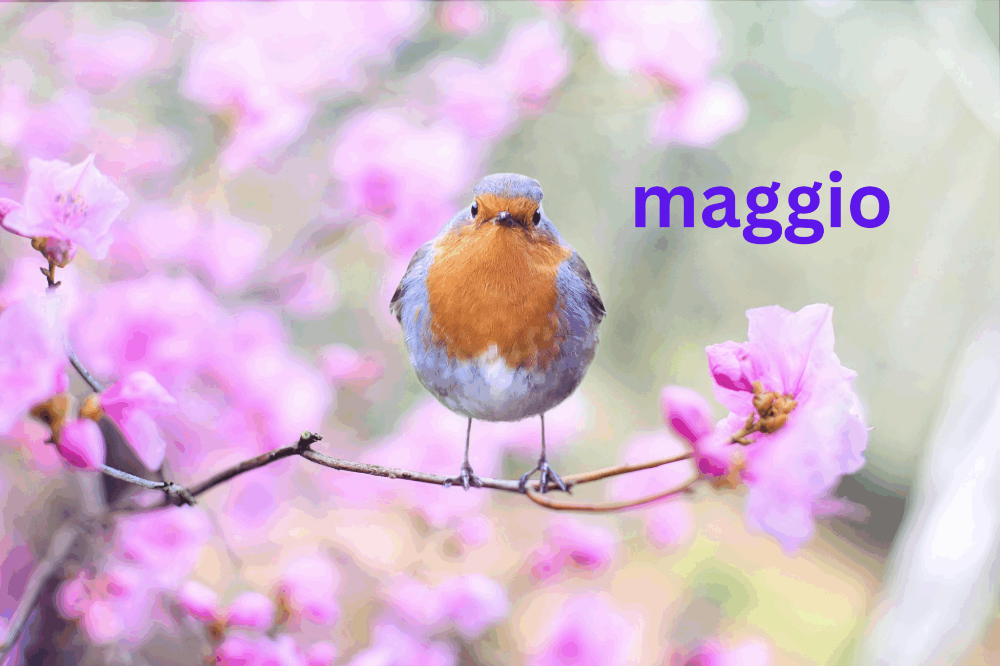 Formal vs informal Italian: when and how to use them - Parla Italiano