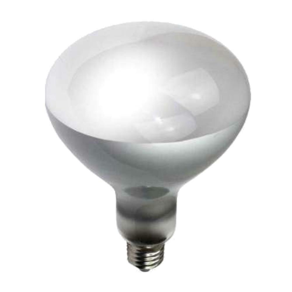 EVEREADY Infrared Diffused Hard Glass Bulb E27/ES 250W Warm White ...